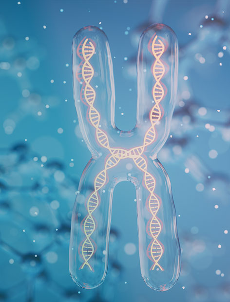 Hereditary Cancer Testing - Know Your Risk Today | First Genomix Hereditary Cancer Testing - Know Your Risk Today | First Genomix